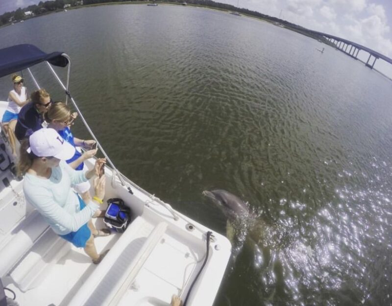 Hilton Head Island: Private Dolphin Watching Boat Tour - Authenticity and Expertise
