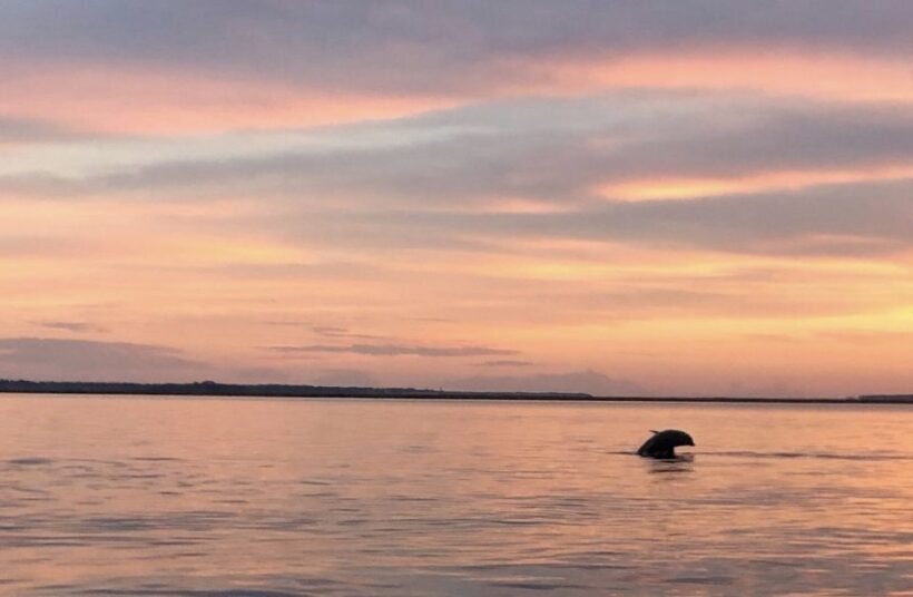 Hilton Head Island: Sunset Creek Cat Boat Tour - Exploring the Hilton Head Creek Cat Boat Tour in Detail