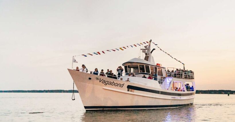 Hilton Head Island: Sunset Dolphin Cruise - Key Points