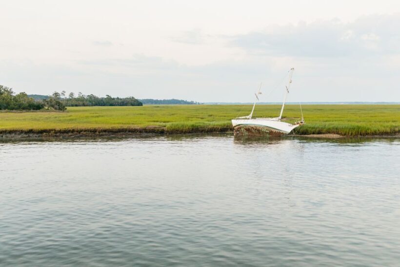 Hilton Head Island: Sunset Dolphin Cruise - FAQ