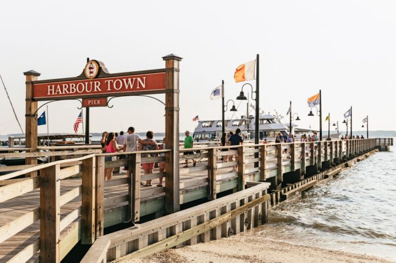 Hilton Head Island: Sunset Dolphin Cruise - Food, Drinks, and Additional Costs