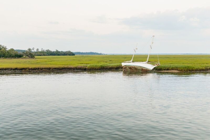 Hilton Head Island: Sunset Dolphin Cruise - What Travelers Are Saying