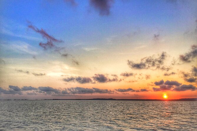 Hilton Head Island Sunset Dolphin Tour - Authentic Perspectives from Past Travelers