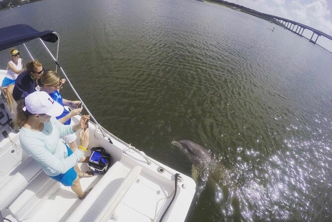 Hilton Head Island Sunset Dolphin Tour - Who Should Consider This Tour?