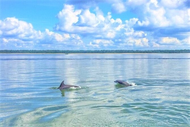 Hilton Head Morning Dolphins & Donuts Cruise - Key Points