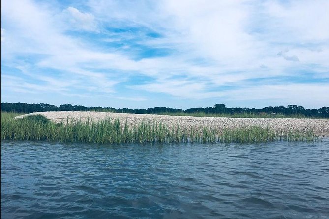Hilton Head Morning Kayaking & Coffee Guided Tour - The Sum Up