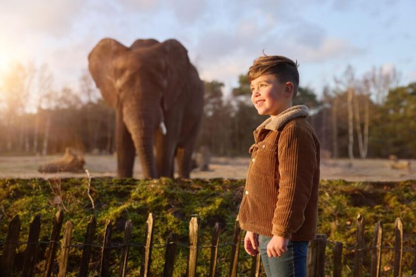 Hilvarenbeek: Safaripark Beekse Bergen Entry Ticket - Key Points