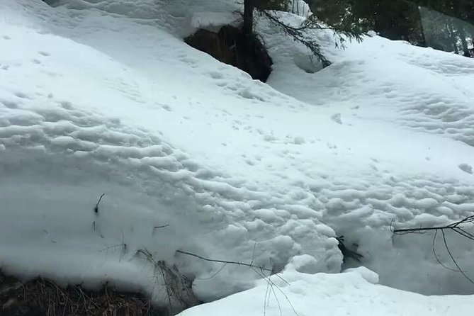 Himachal Tour Package - Final Thoughts