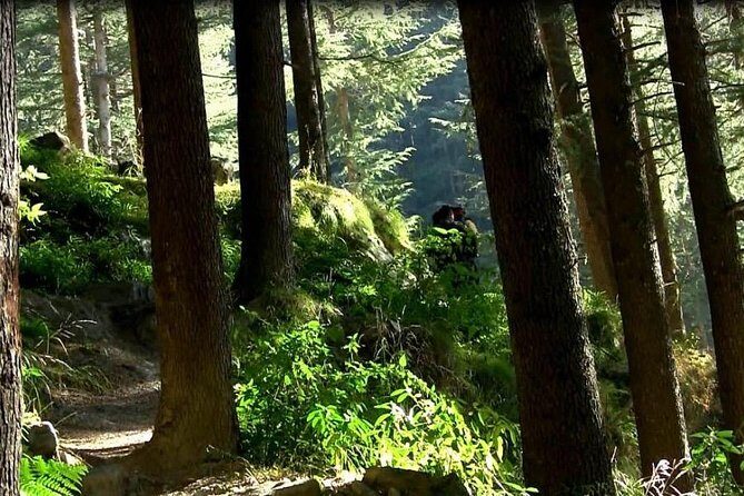 Himalayan Cottage Camping in Kasol (1n2d) - An In-Depth Review of Himalayan Cottage Camping in Kasol
