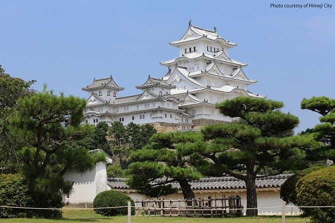 Himeji Castle and Akashi Kaikyo Bridge Walking Tour from Kyoto - Key Points