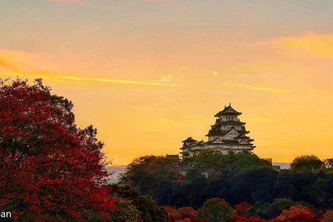 Himeji Half-Day Private Tour With Government-Licensed Guide - Not Included in the Tour