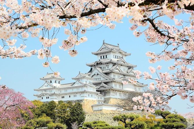 Himeji Half-Day Private Tour With Government-Licensed Guide - Tour Format