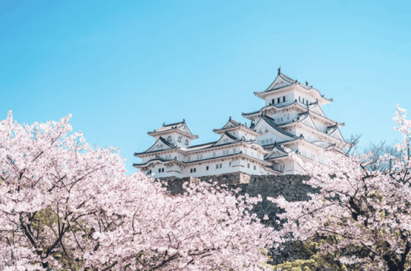 Himeji Private Custom Tour With Local Guide - Discovering Engyo-ji Temple