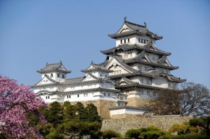 Himeji Private Customizable Full Day Tour - Key Points