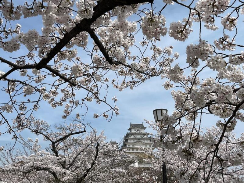 Himeji: Visit Engyoji Castle and Temple From Osaka - Itinerary Details