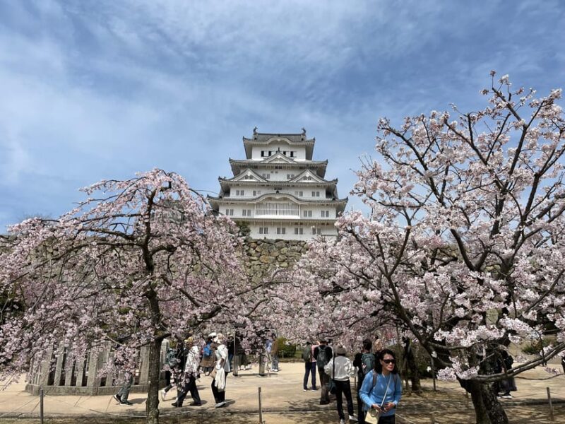 Himeji: Visit Engyoji Castle and Temple From Osaka - Engyo-ji Temple Exploration