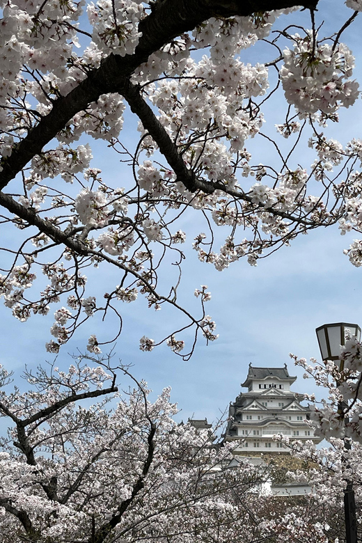 Himeji: Visit Engyoji Castle and Temple From Osaka - Frequently Asked Questions