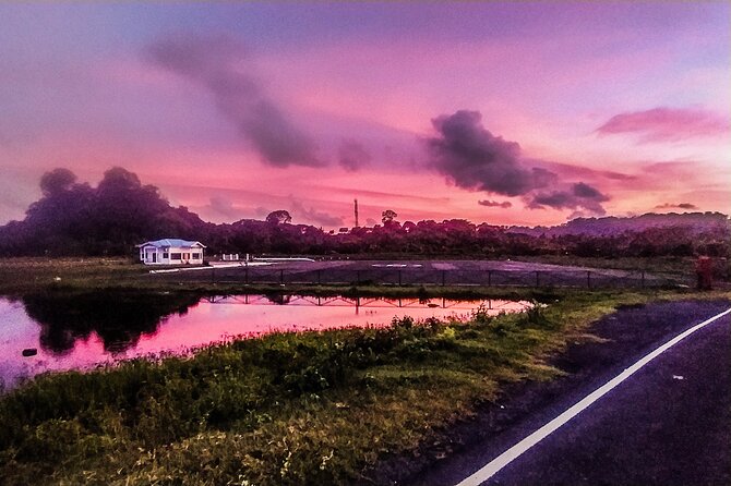 Hinterland Cycling Tour, Havelock - What To Expect on the Tour