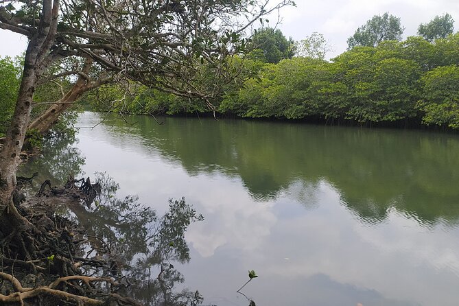 Hinterland Cycling Tour, Havelock - The Sum Up