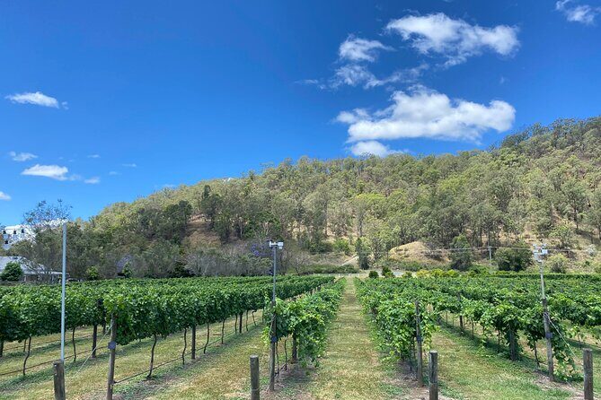 Hinterland Heritage Wine Tour - Practical Details and Tips