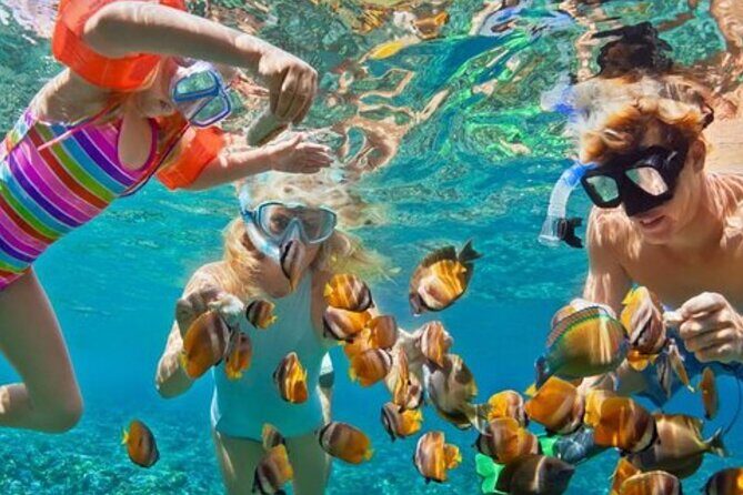 Hip hop party boat cruise & Snorkel: Wonderful time in Punta Cana - Who Should Book This Tour?