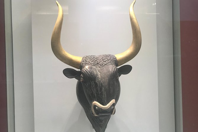 Hire a Licensed Tour Guide (Private Tour) - Authentic Reviews and Traveler Perspectives