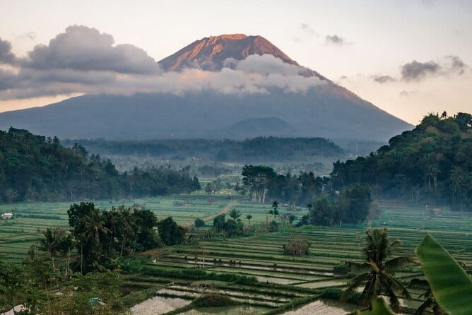 Hire a Private Car and Driver - Final Thoughts