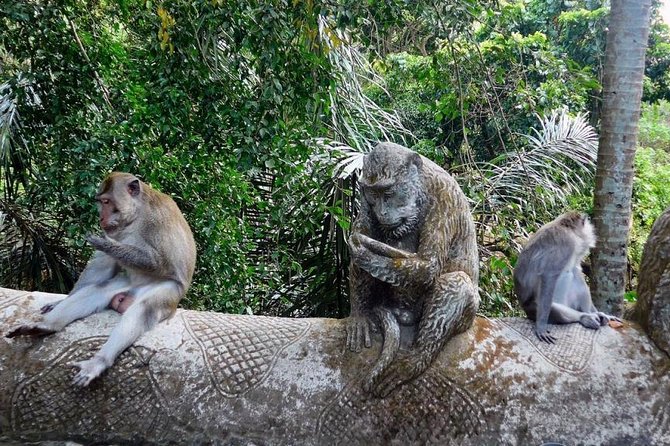 Hire Bali Driver for 10-hour (Bali as You Please) - FAQ