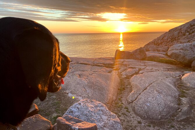 Hire Land Rover Defender Camper To Tour Northumberland and Beyond - The Sum Up