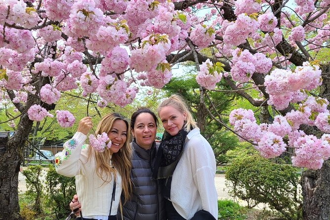 Hirosaki Full-Day Private Tour With Government-Licensed Guide - Inclusions