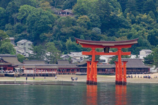 Hiroshima and Miyajima Private Guided Tour - Savoring the Culinary Delights of the Region