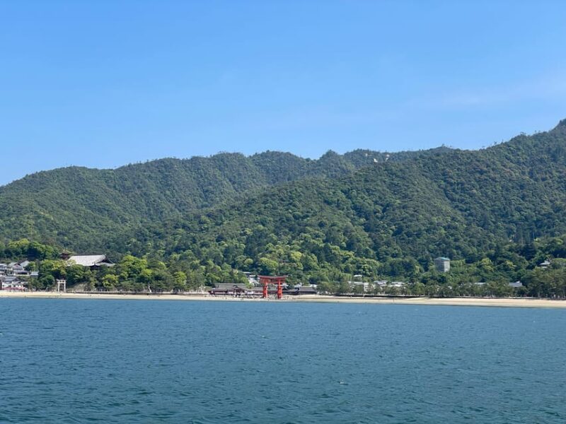 Hiroshima and Miyajima Satisfying Private Tour With a Local - Local Guide Expertise