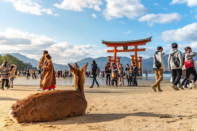 Hiroshima: Atomic Bomb Dome and Peace Memorial Museum 3 hours - FAQs for Hiroshima’s Atomic Bomb Dome and Peace Memorial Museum Tour