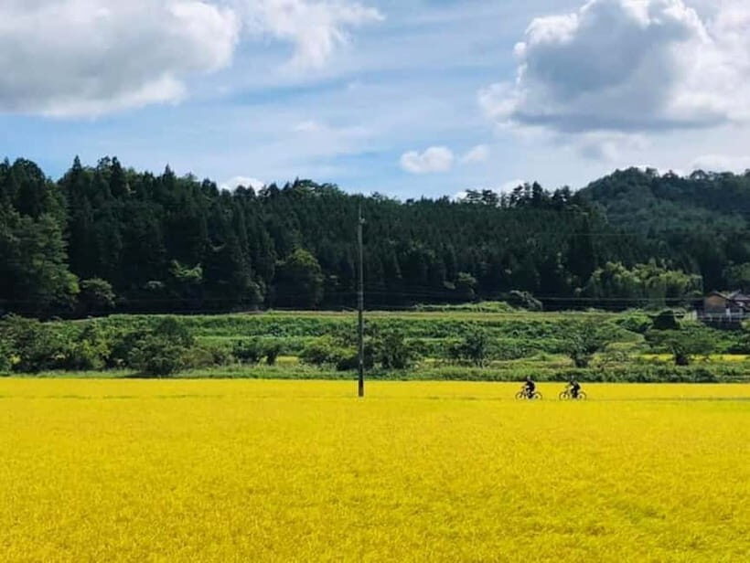 Hiroshima Country Cycling: Explore Rural Life 1 HR from City - What You Can Expect from Hiroshima’s Countryside Tour