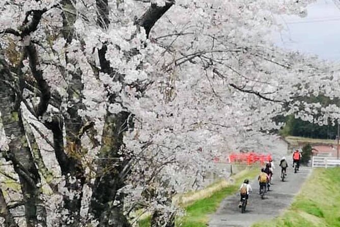 Hiroshima Country Cycling: Explore Rural Life 1 HR From City - Exploring Oasas Rural Charm