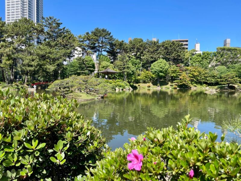 Hiroshima: Fulfilled Highlights Private Tour With a Local - Transportation and Accessibility