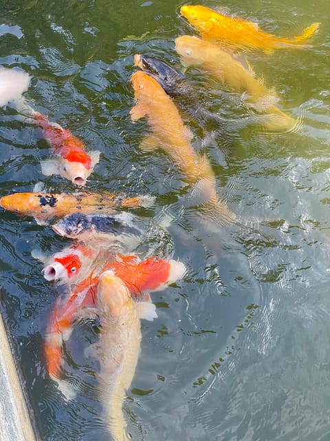 Hiroshima: Fulfilled Highlights Private Tour With a Local - Frequently Asked Questions
