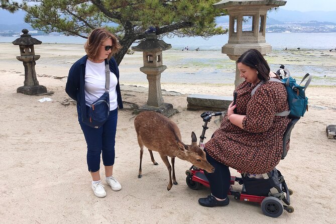 Hiroshima Highlights Private Day Tour - Hiroshima Peace Memorial Museum