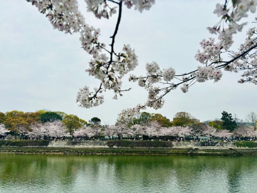 Hiroshima: History of Hiroshima Group Walking Tour - Key Points