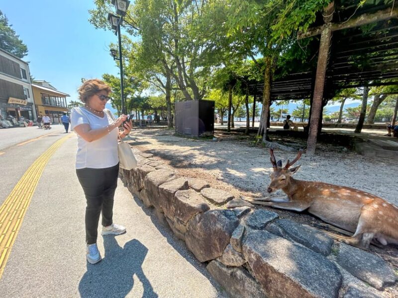Hiroshima Miyajima and Bomb Dome Private Tour - Tour Highlights