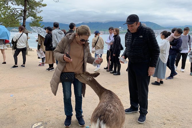 Hiroshima / Miyajima Full-Day Private Tour With Government Licensed Guide - Guide Experience and Customer Feedback