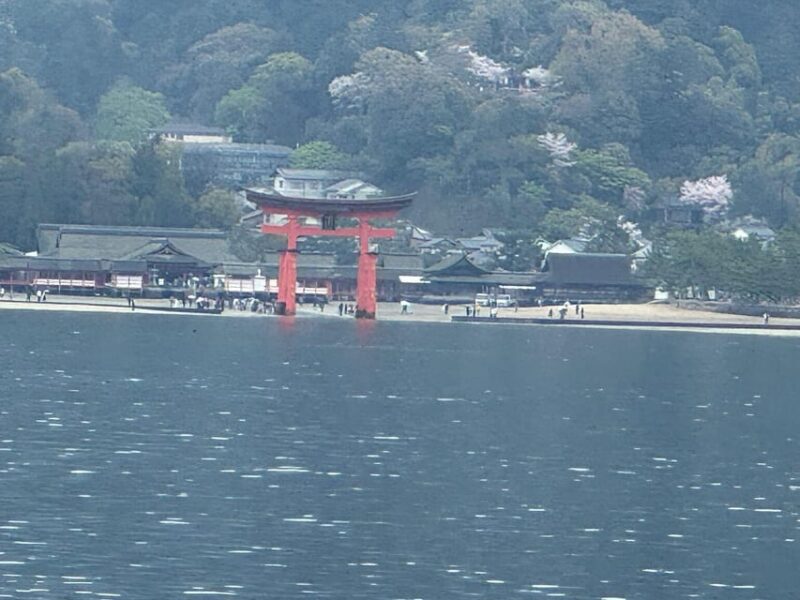 Hiroshima Miyajima Park - Iconic Tori Gate