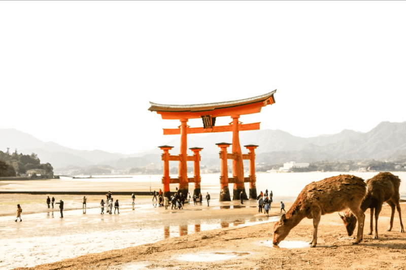 Hiroshima & Miyajima Tour With English/Spanish Speaker Guide - Itinerary Highlights