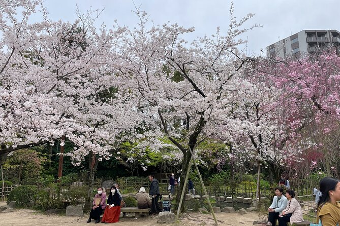 Hiroshima Peace Memorial and Highlights Private Tour With a Local - Pickup and Accessibility Details