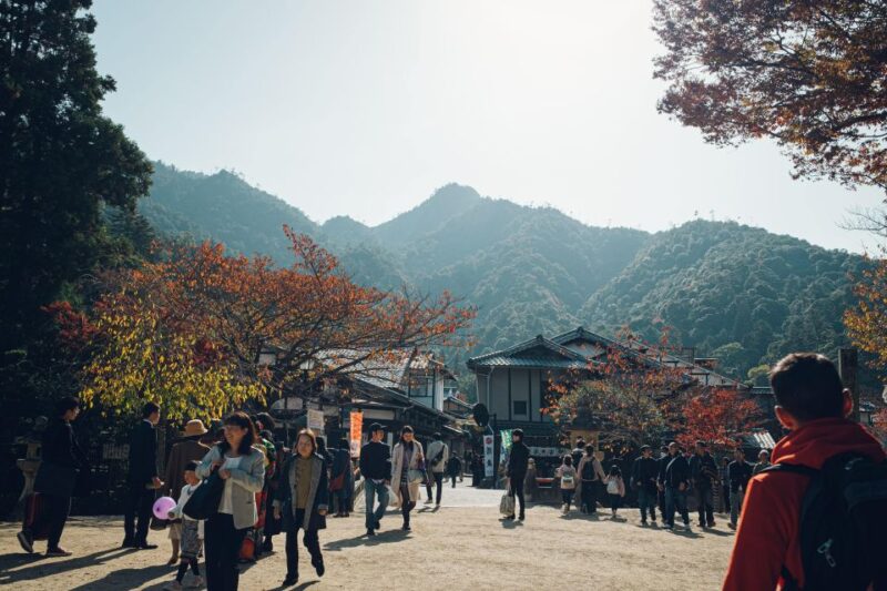 Hiroshima: Private Half-Day Miyajima Tour - Hiking Mount Misen and Scenic Views