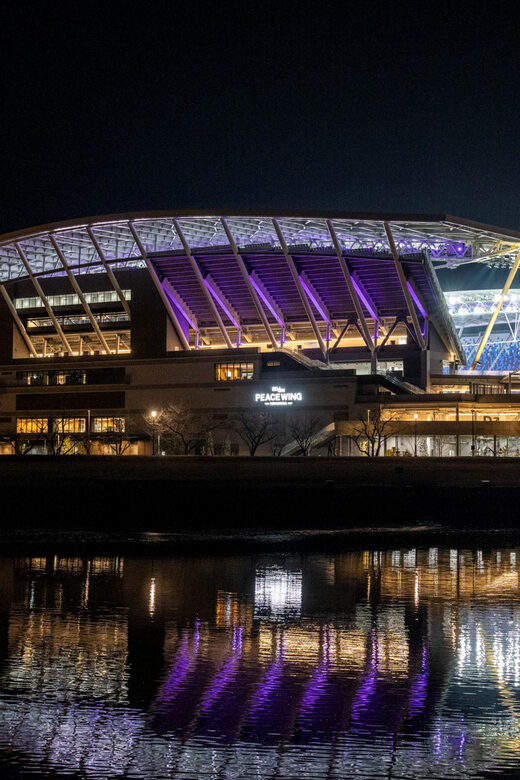Hiroshima: Sanfrecce Hiroshima Football Game - The Value of the Experience