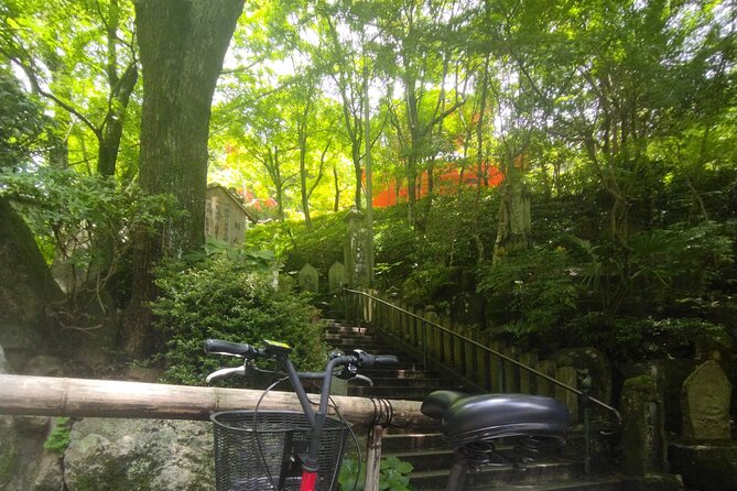 Hiroshima Scenic Cycling Guided Tour - Accessibility and Health Advisory