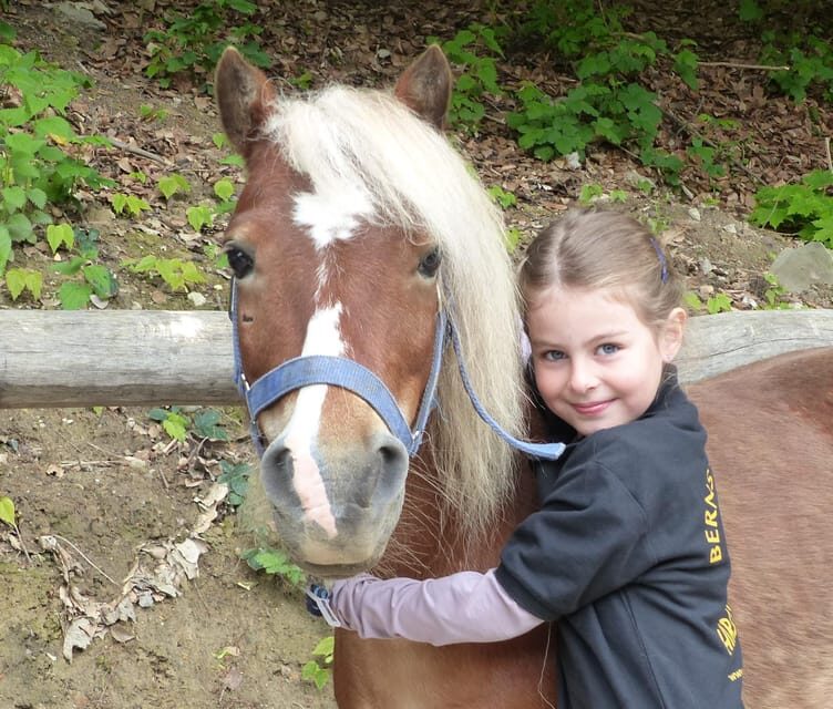 Hirschburg: Day at the stables - Why This Tour Works Well for Families