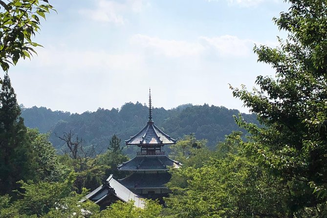 Historic and Natural Guided Hike in Yoshino - Highlights of the Hike