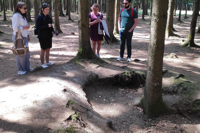 Historic Battle of the Bulge Sites Tour From Brussels - Traveler Testimonials and Feedback